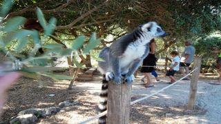 Zoo - Loc de Menorca @ Menorca Travel Directory 2021