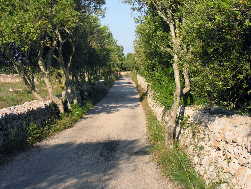 Cycling and MTB on Menorca. What to expect , Routes and Bike Hire 2026
