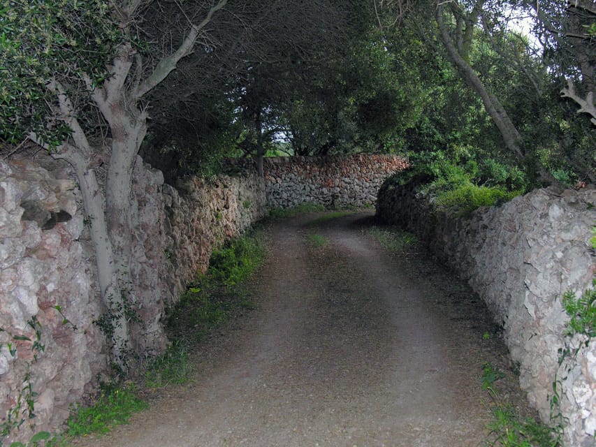 Cycling and MTB on Menorca. What to expect , Routes and Bike Hire 2026
