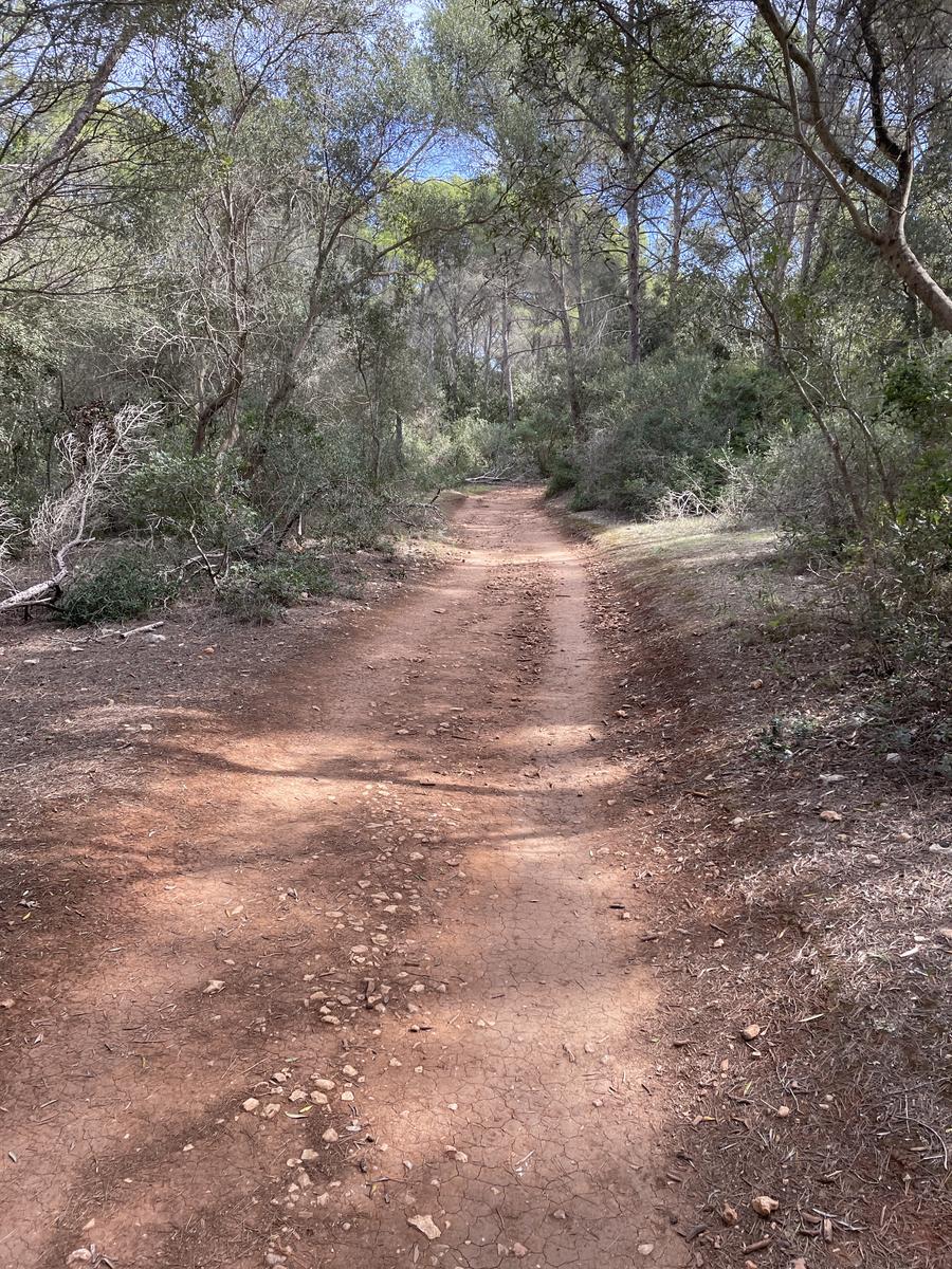 Walking Treking Menorca-Guides,maps DIY tours and Holidays 2026